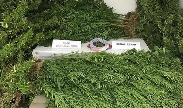 DÜZCE'NİN 6 İLÇESİNDE UYUŞTURUCU OPERASYONU - GÜNDEM - Düzce Pusula ... DÜZCE'NİN 6 İLÇESİNDE UYUŞTURUCU OPERASYONU - GÜNDEM - Düzce Pusula ...